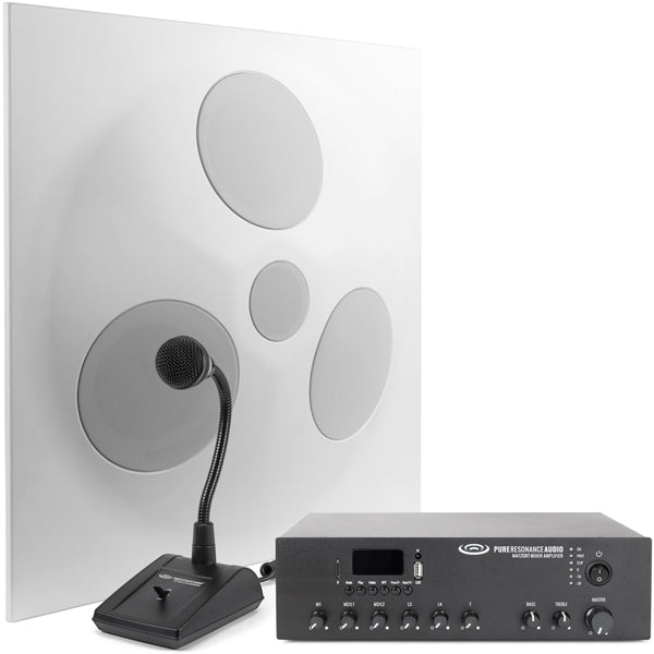 Paging Sound System with SD5 Ceiling Tile Speaker, Bluetooth Mixer ...